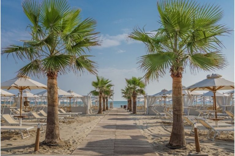 Le palme come elementi scenografici dello stabilimento balneare